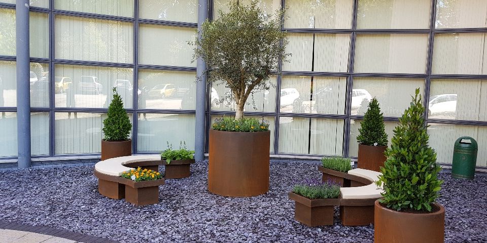 Education - Plant Plan