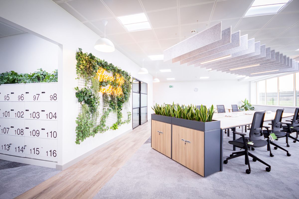 Replica Plants - Plant Plan