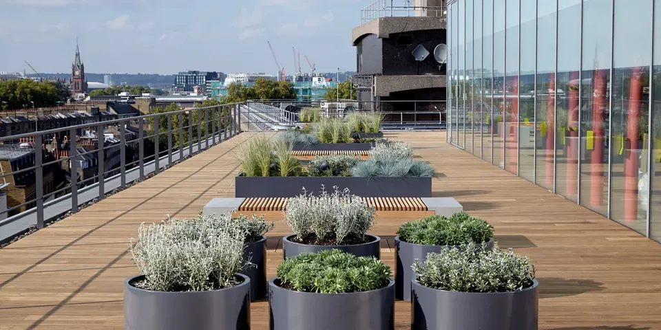 The UK's leading commercial indoor planting company - Plant Plan