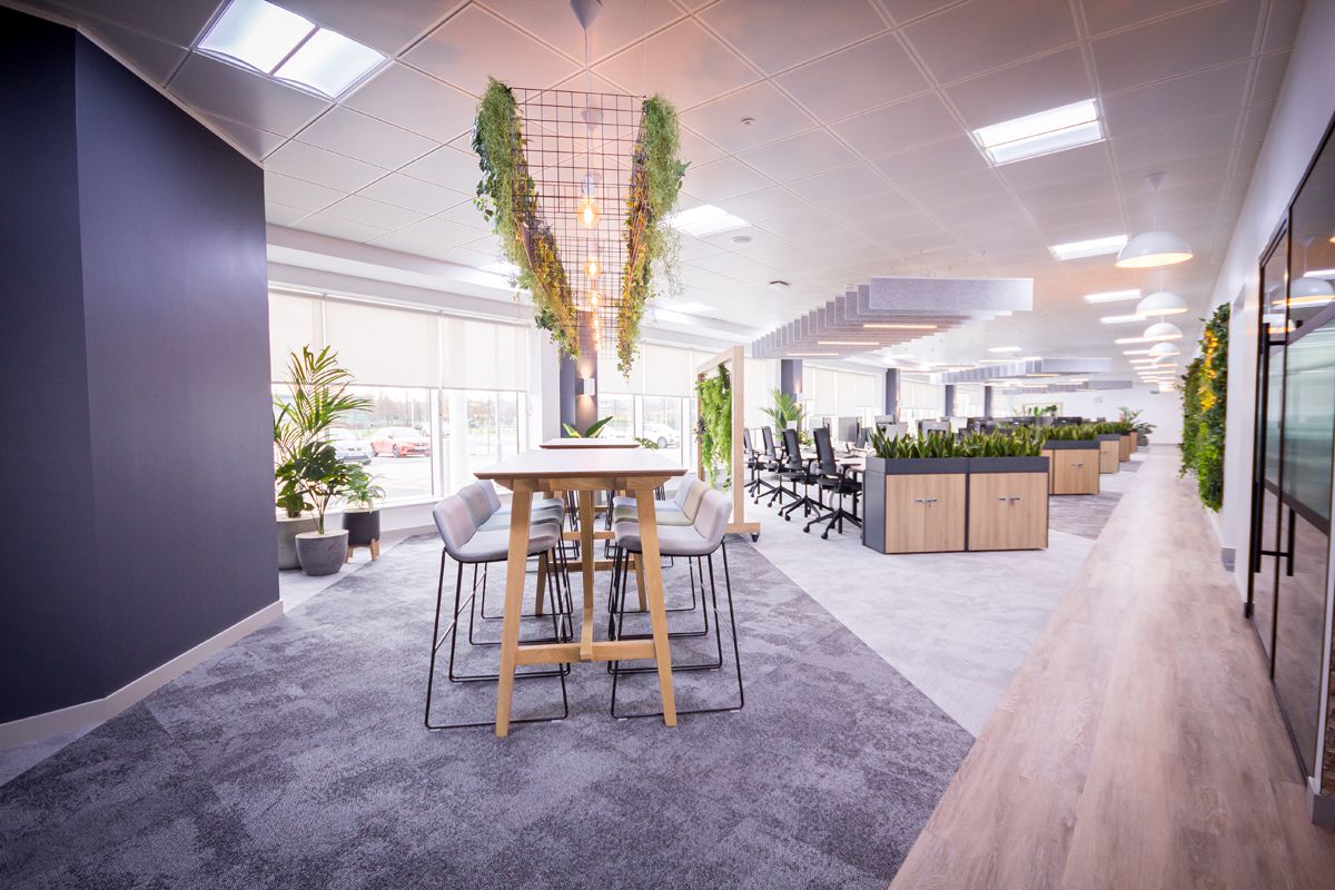 Replica Plants - Plant Plan