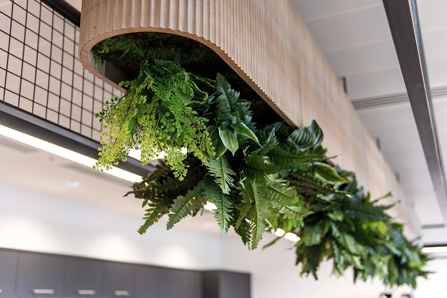 High quality replica planting - Plant Plan