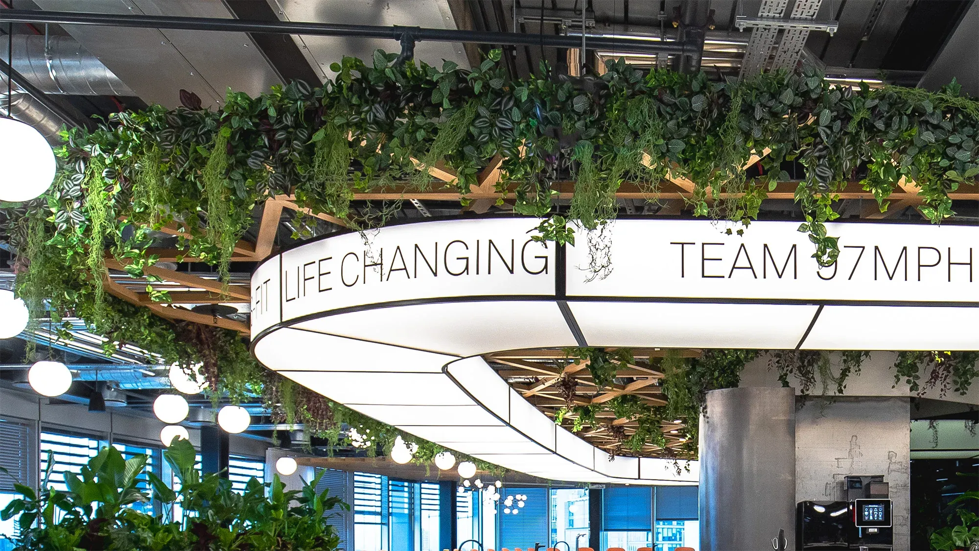 High quality replica planting - Plant Plan