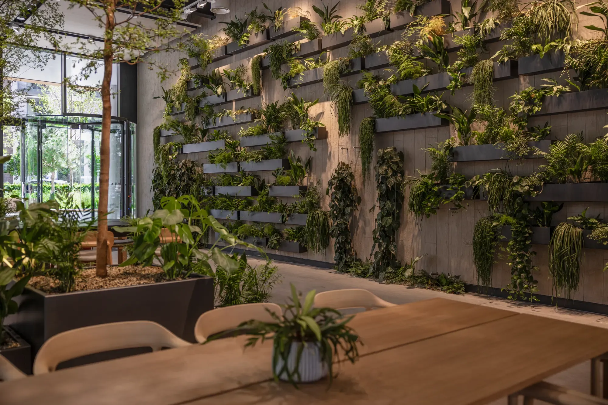 The UK's leading commercial indoor planting company - Plant Plan