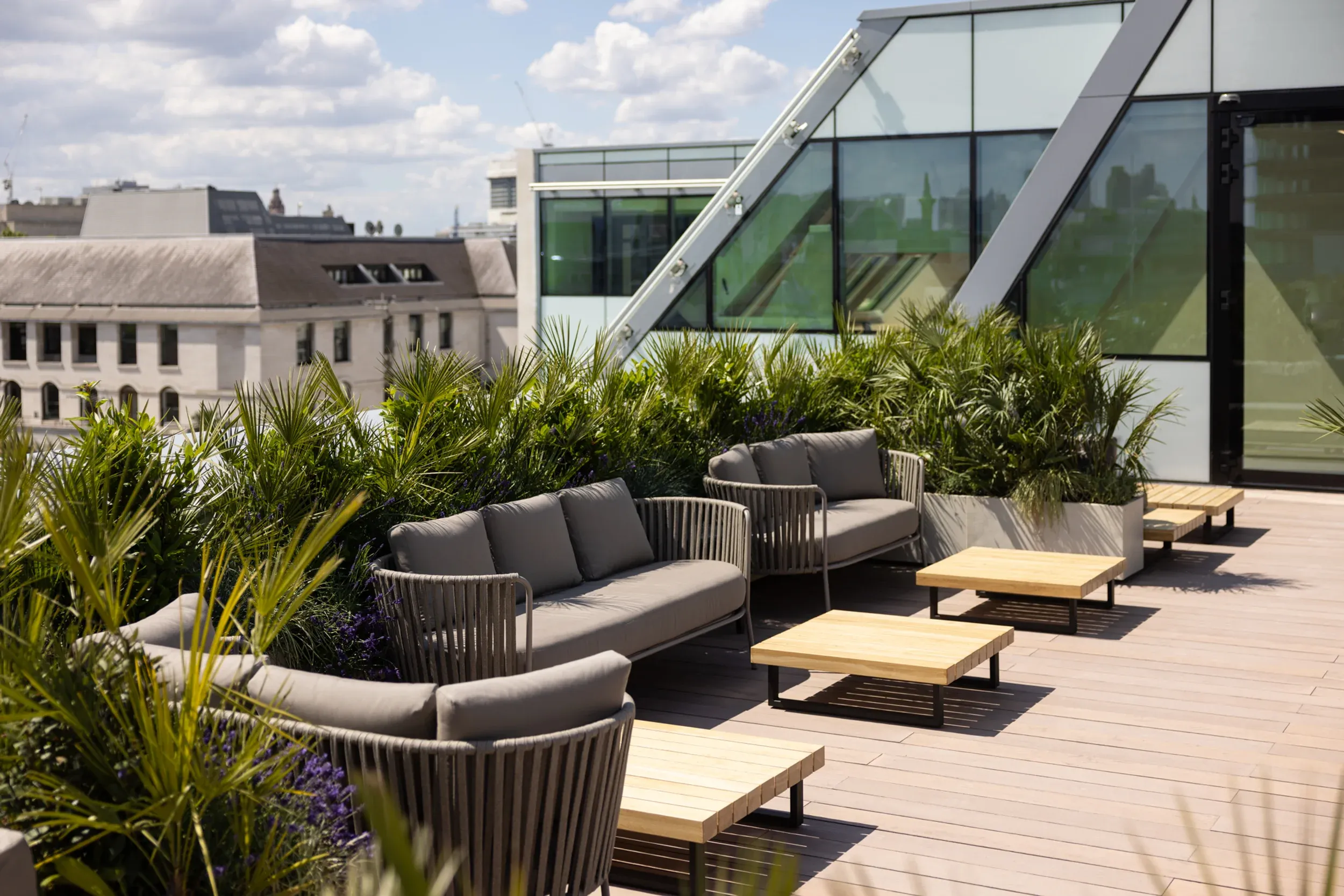 The UK's leading commercial indoor planting company - Plant Plan