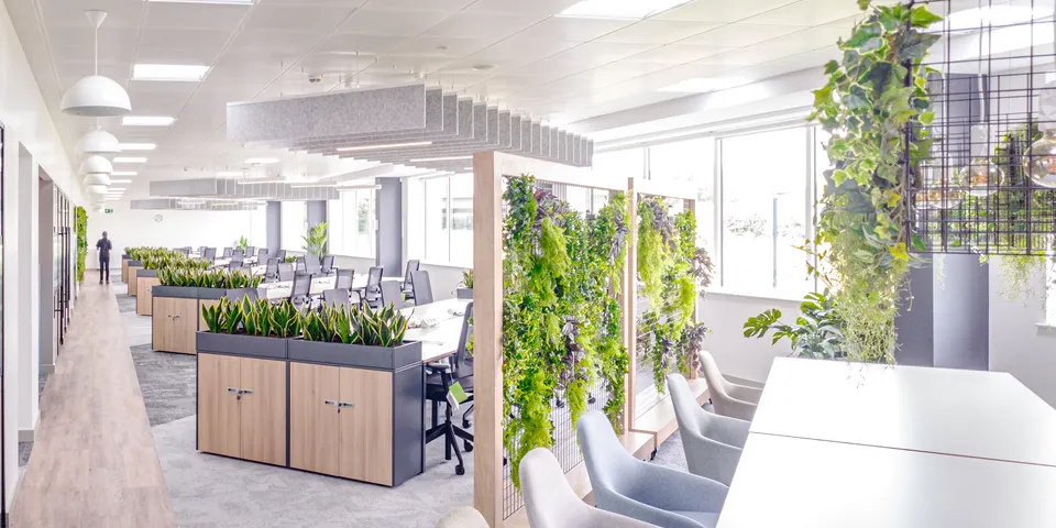 High quality replica planting - Plant Plan