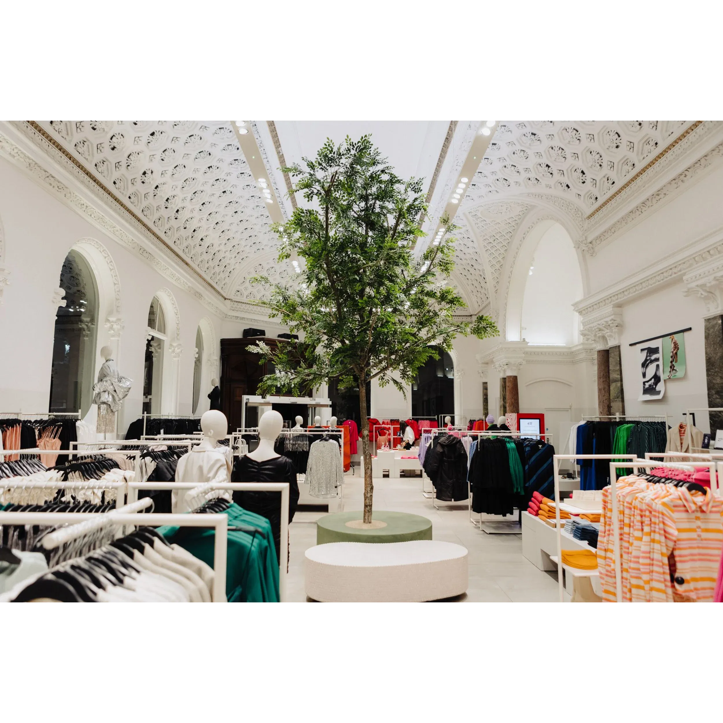 Retail - Plant Plan