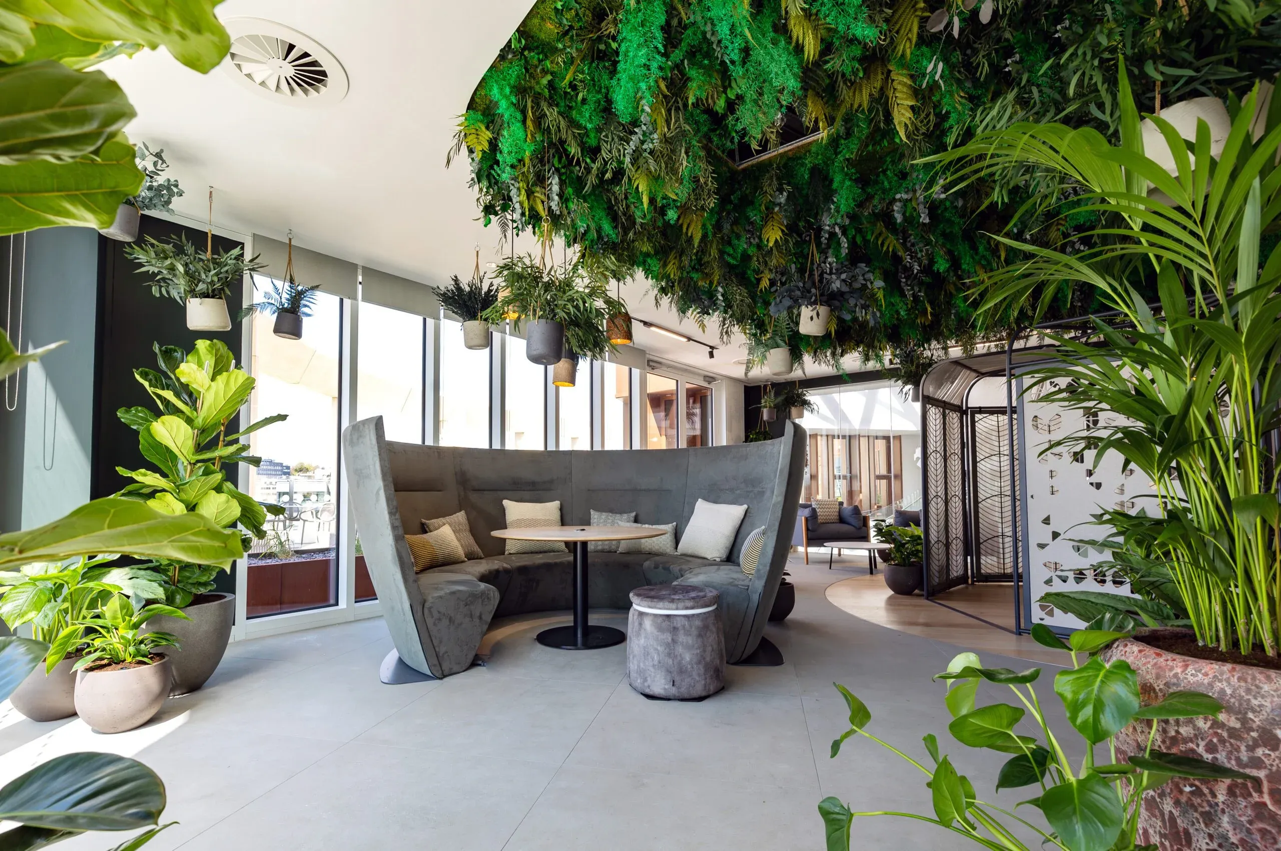 Preserved planting: an eco-friendly alternative to replica plants ...