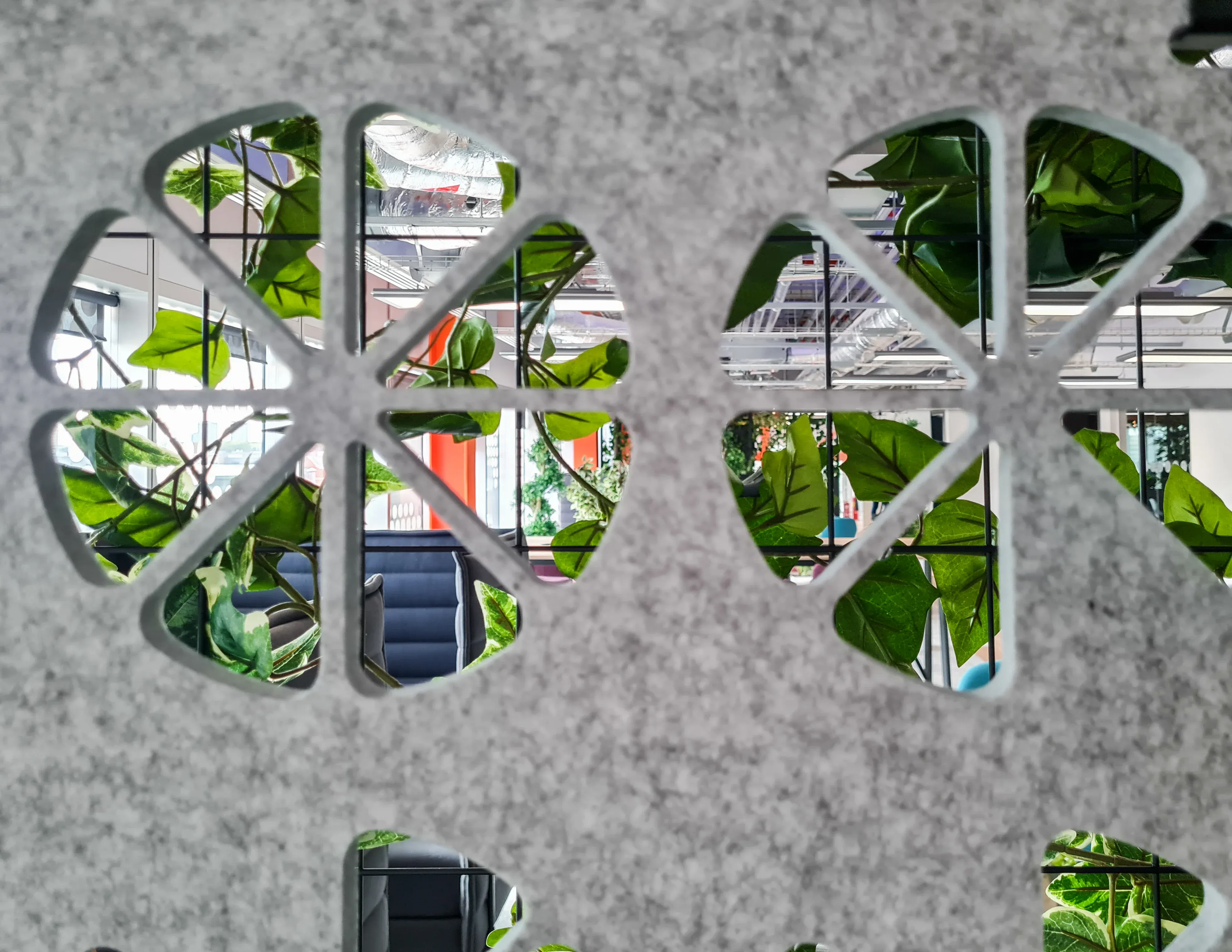 Education - Plant Plan