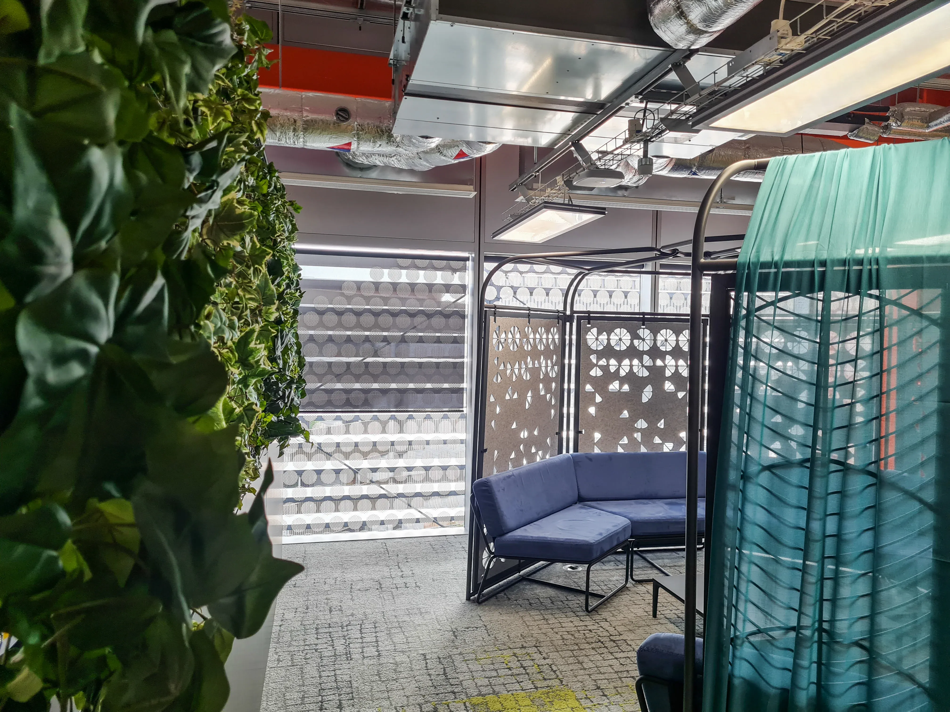 Education - Plant Plan