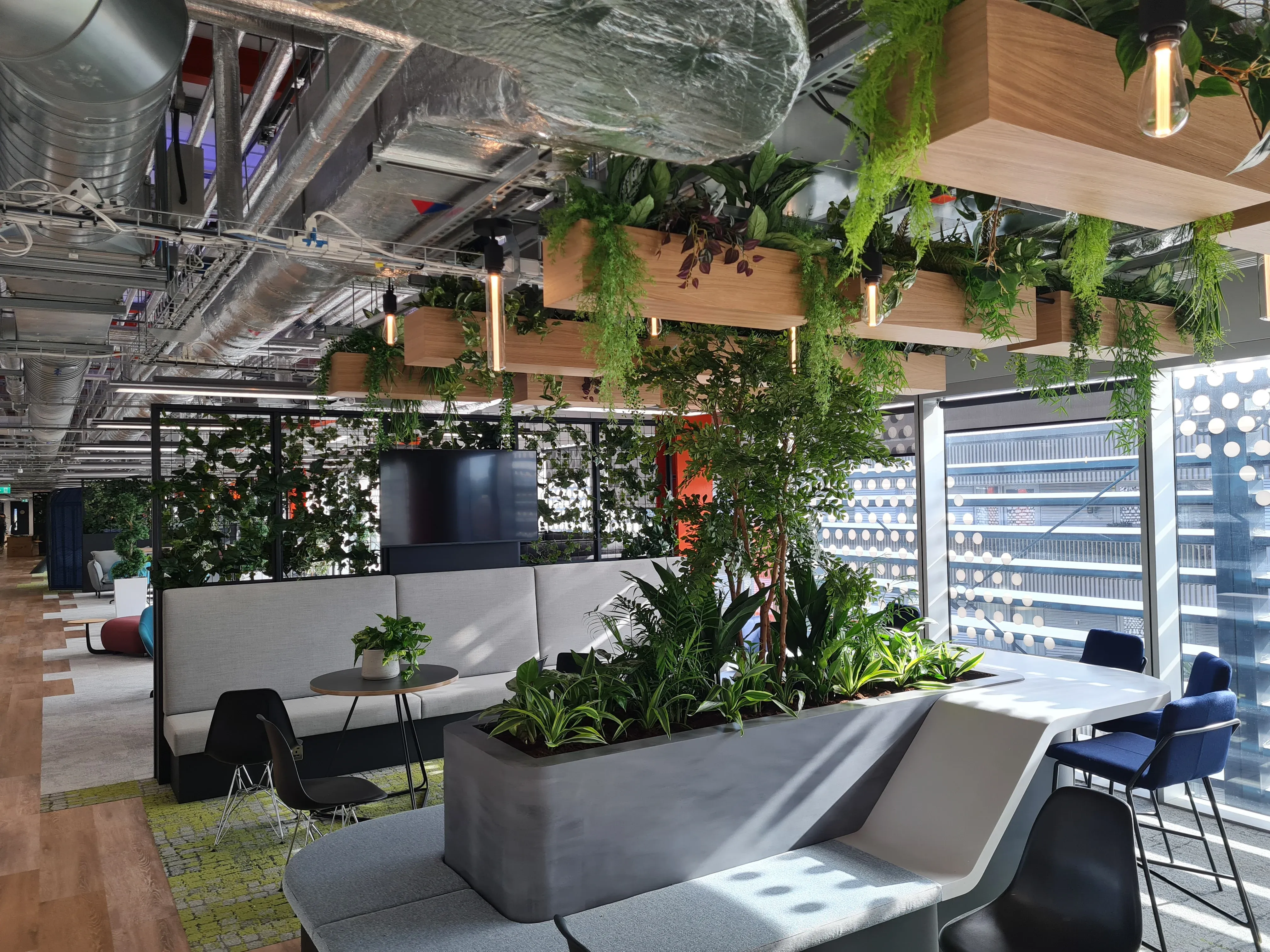 Education - Plant Plan