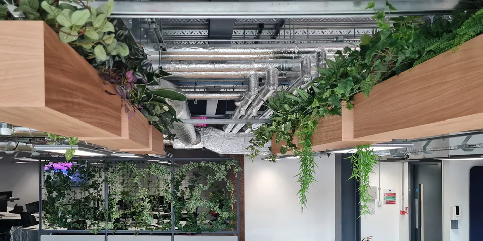 Education - Plant Plan