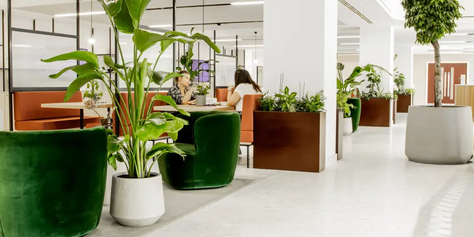 Creative - Plant Plan