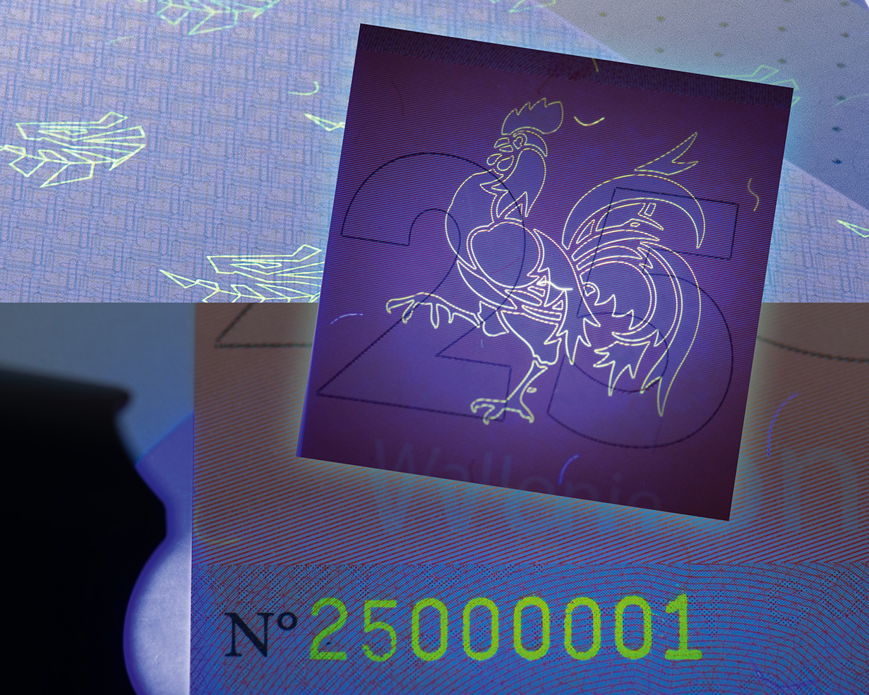 Welcome at INNI group