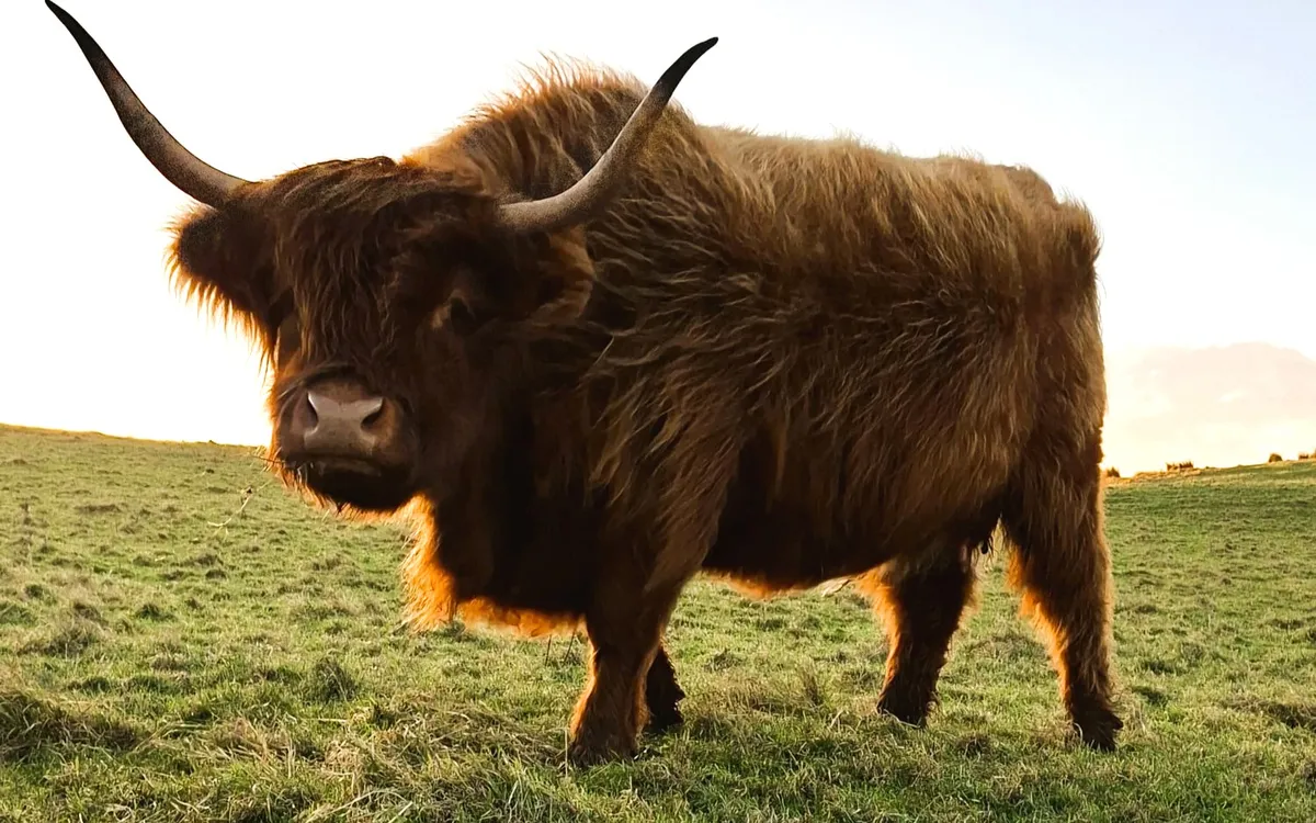 Börsianer Watchlist: Der Winterschlaf ist vorbei! | Börsianer