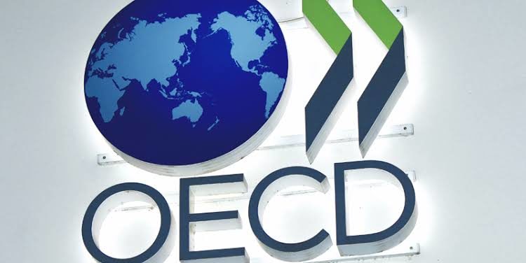 OECD Launches Global Reporting Framework for Advanced AI Systems ...