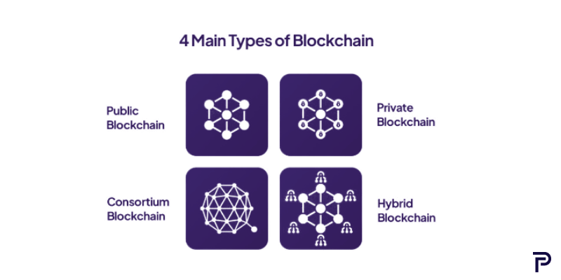 Introduction to Different Types of Blockchains - Pyaza