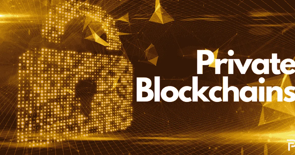 Private Blockchains Explained - Pyaza