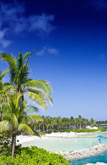 oasis iphone wallpaper