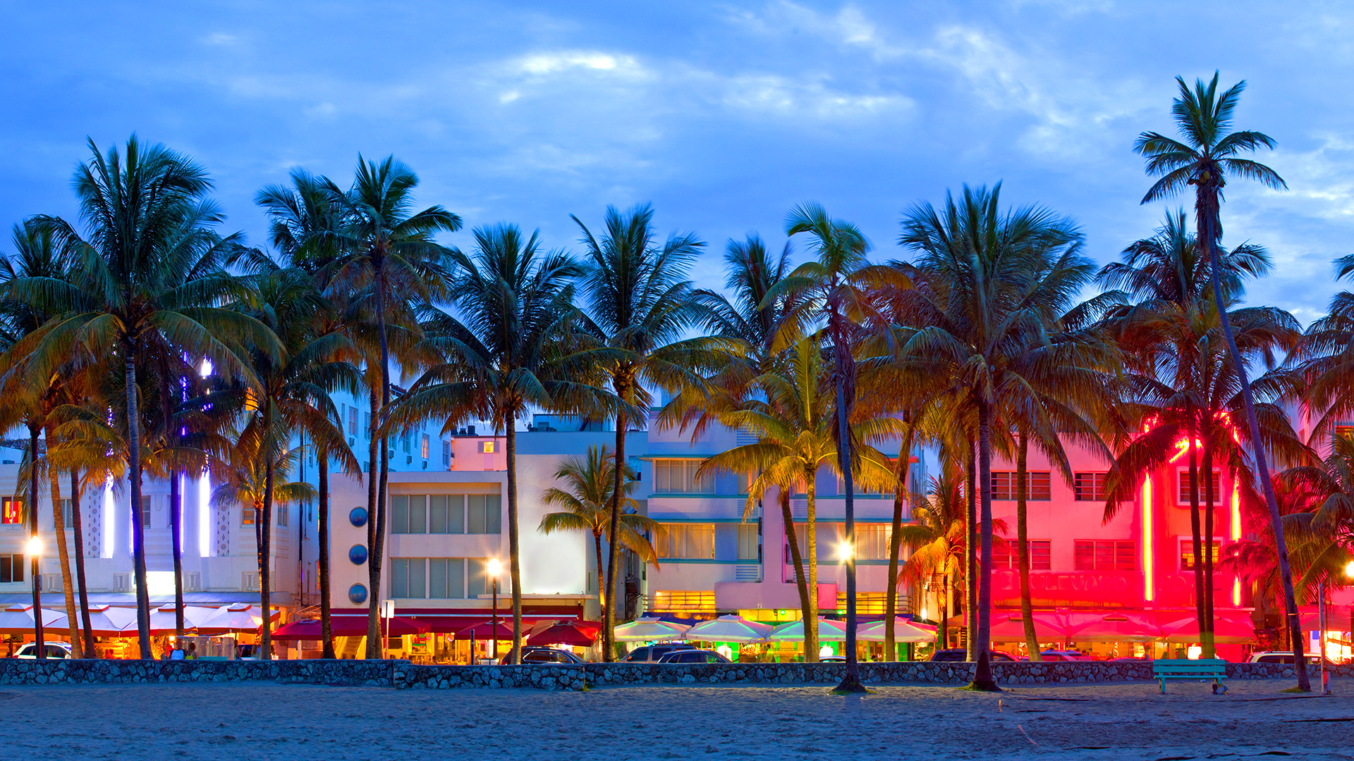 Miami Cruise and Stay Holidays and Deals | Cruise Nation