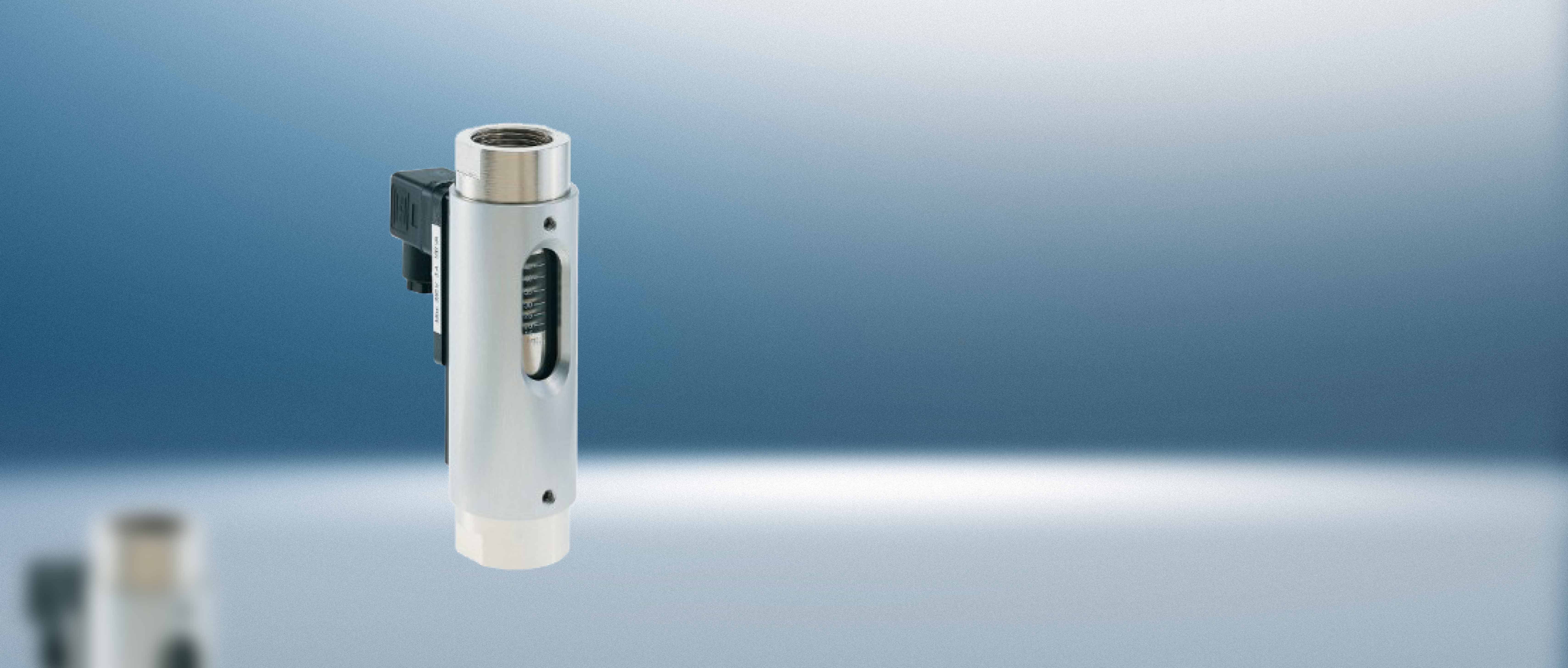 Float flow meter