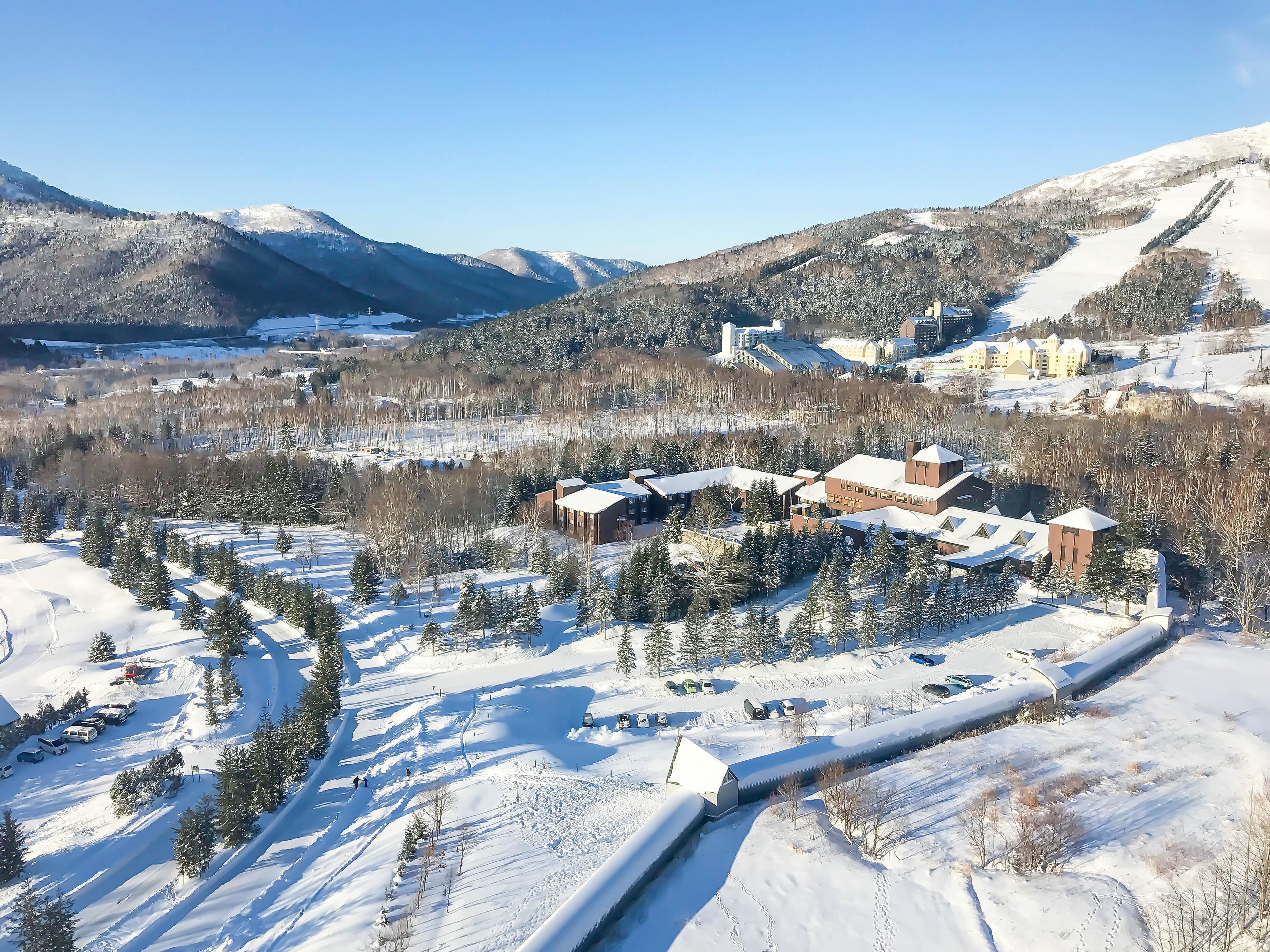 Niseko Vacations: Where to Stay, Eat, and Explore