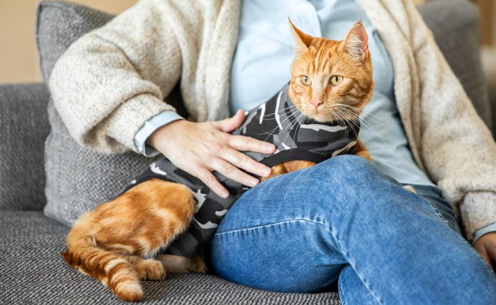 Suitical – Glückliches Haustier, glückliches Leben! Tutorials