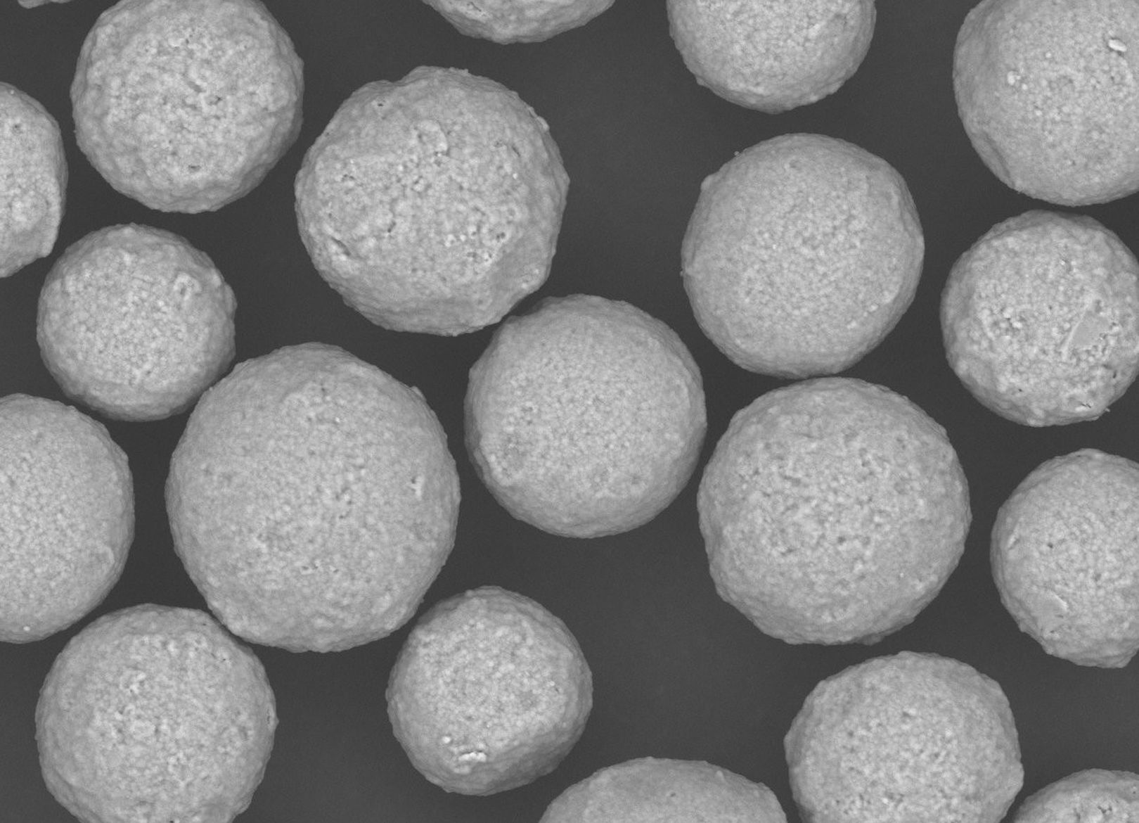 HA Powders · CAM Bioceramics