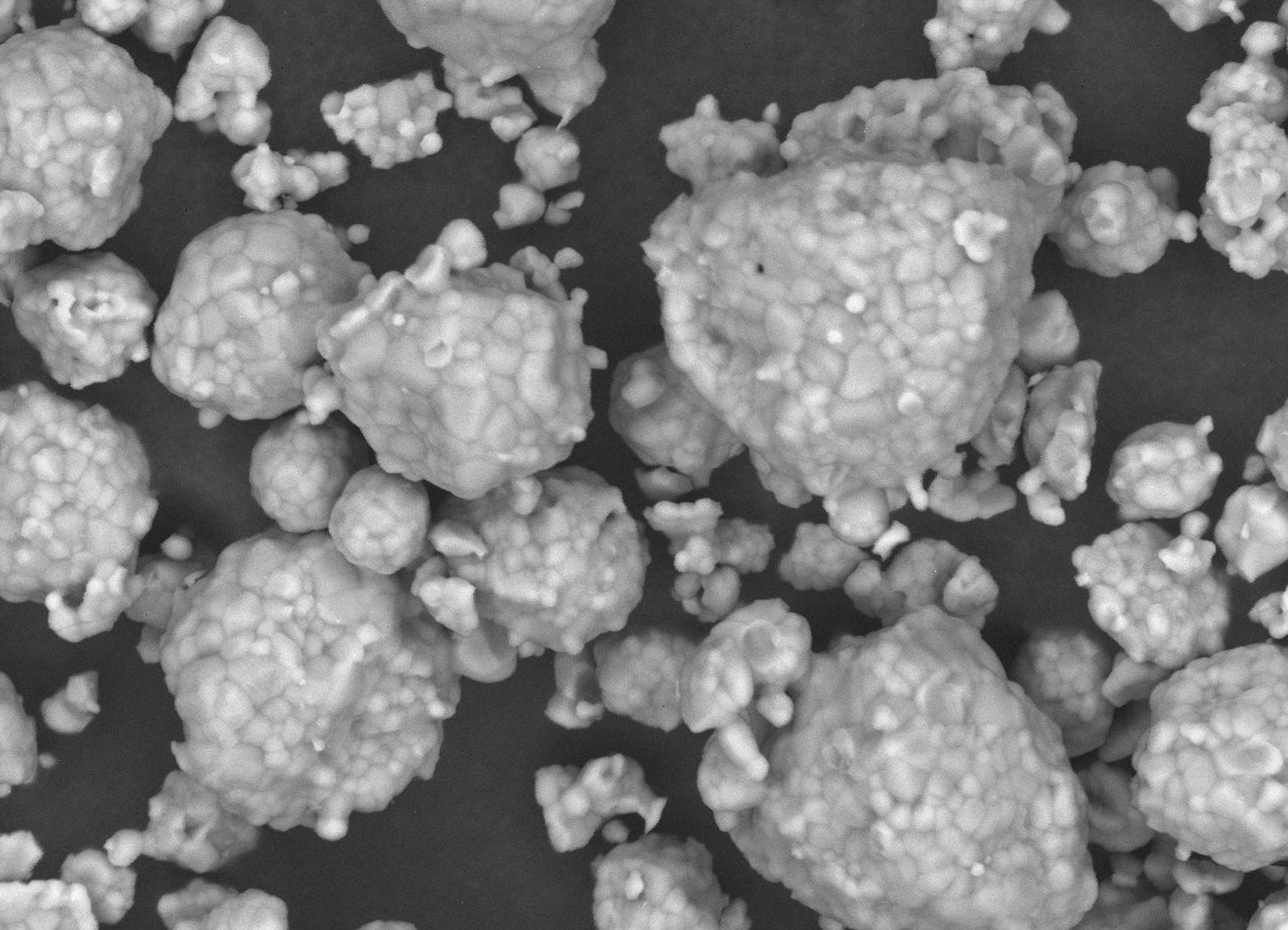 HA/β -TCP Powders · CAM Bioceramics