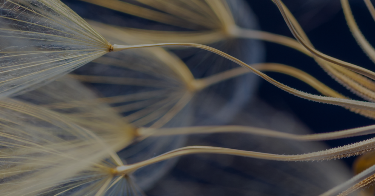 ACT Group | Supply Chain Program