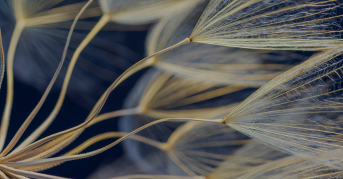 ACT Group | Why Supply Chain Scope 3 Decarbonization is Important