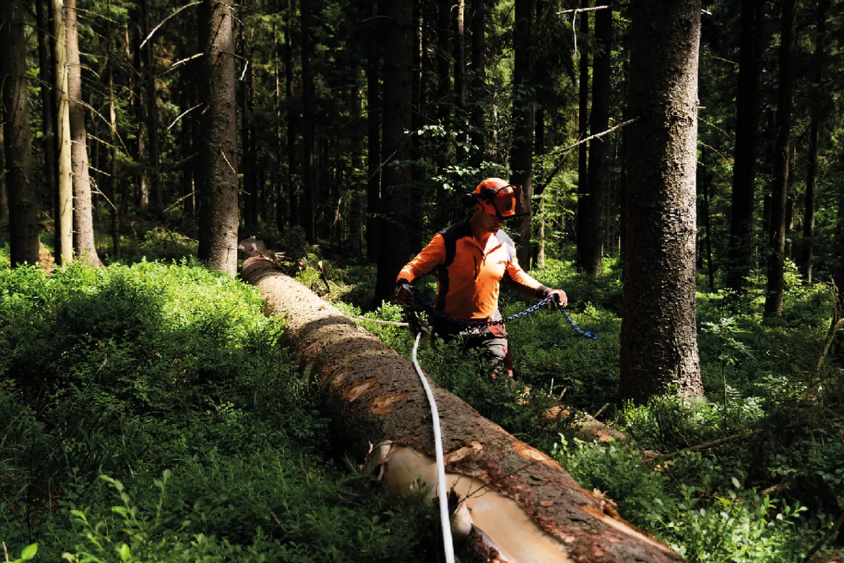 Teufelberger | Rope solutions for Treecare & Forestry