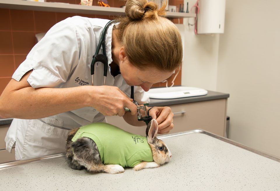 Medical Pet Shirts | Vêtements de Récupération pour Vétérinaires ...