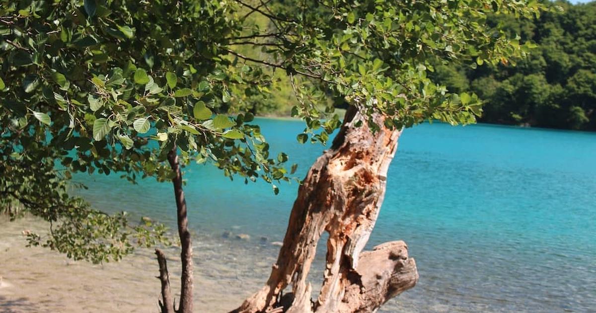 eSIM Timor-Leste | Datos móviles para viajes internacionales | Firsty