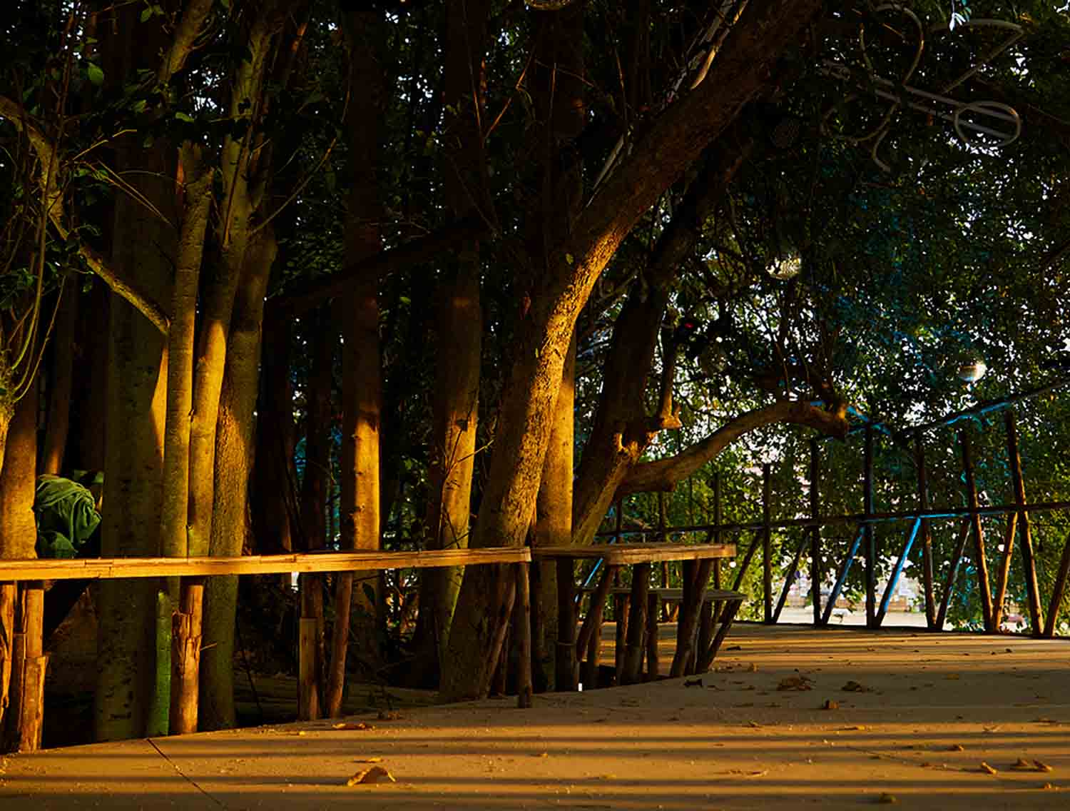 Experiences | Wonderfruit 11-15 December 2025