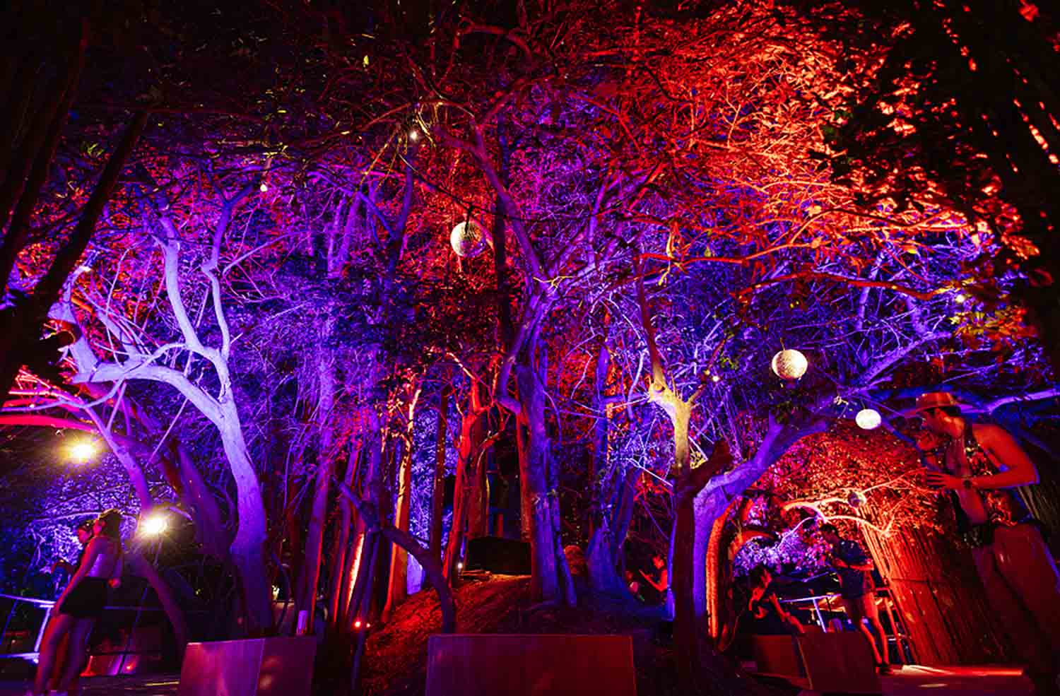 Experiences | Wonderfruit 11-15 December 2025