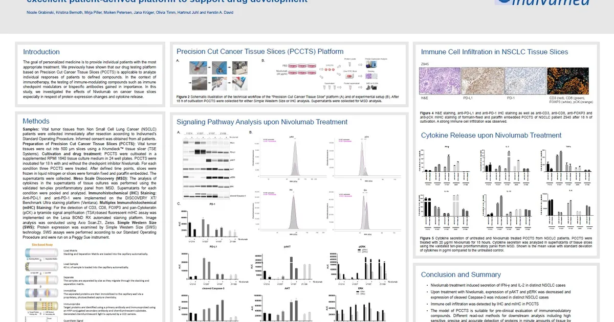 Simple Western™ Size (SWS) in combination with precision cut cancer tissue slices: an excellent ...