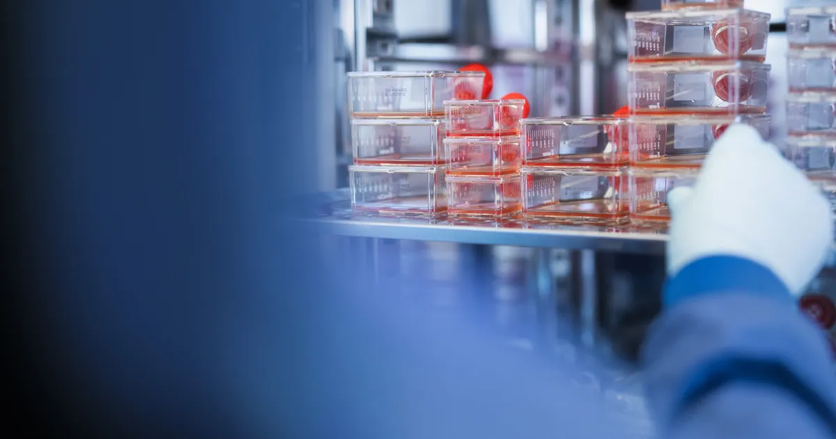 Target Validation | Indivumed