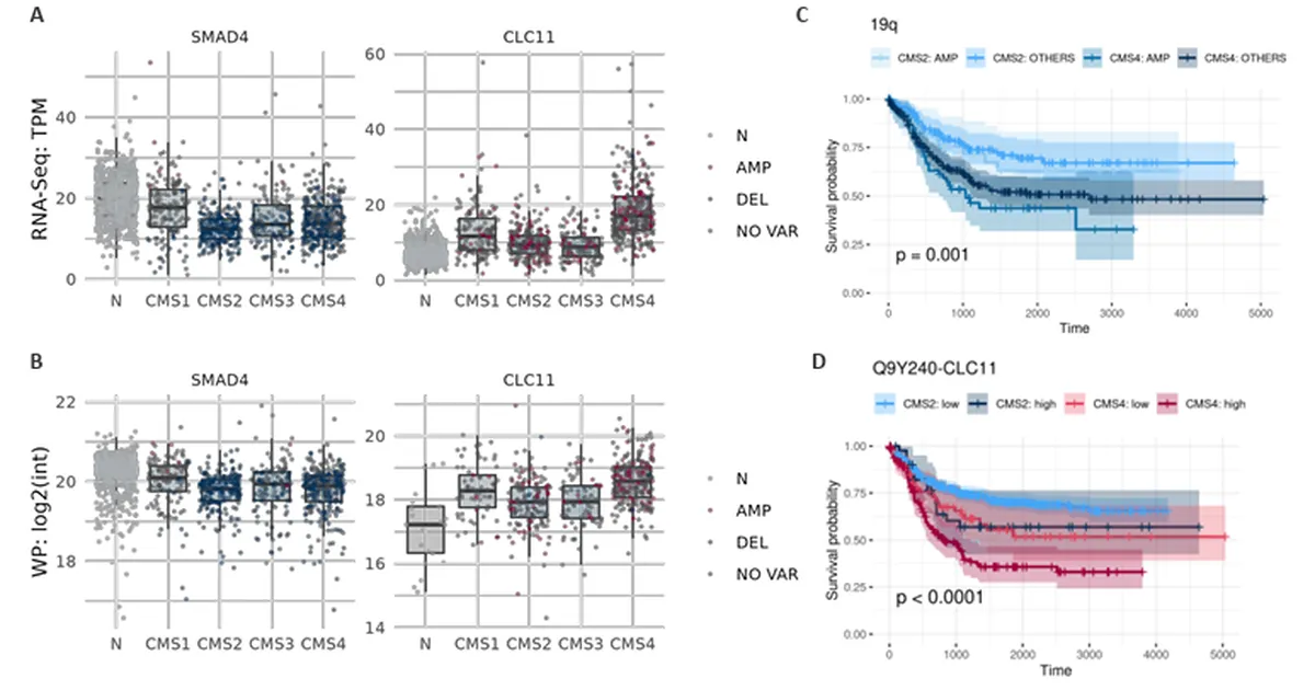 Deciphering chromosomal instability in consensus molecular Subtypes ...