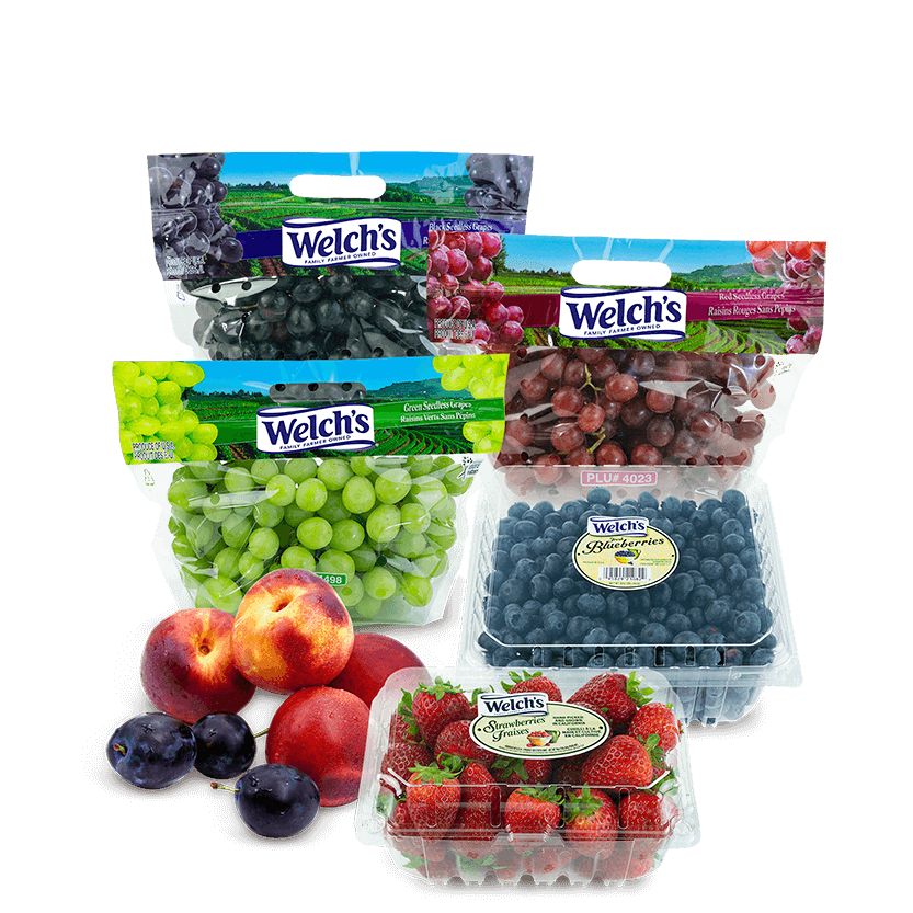 Fresh Fruit Snacks