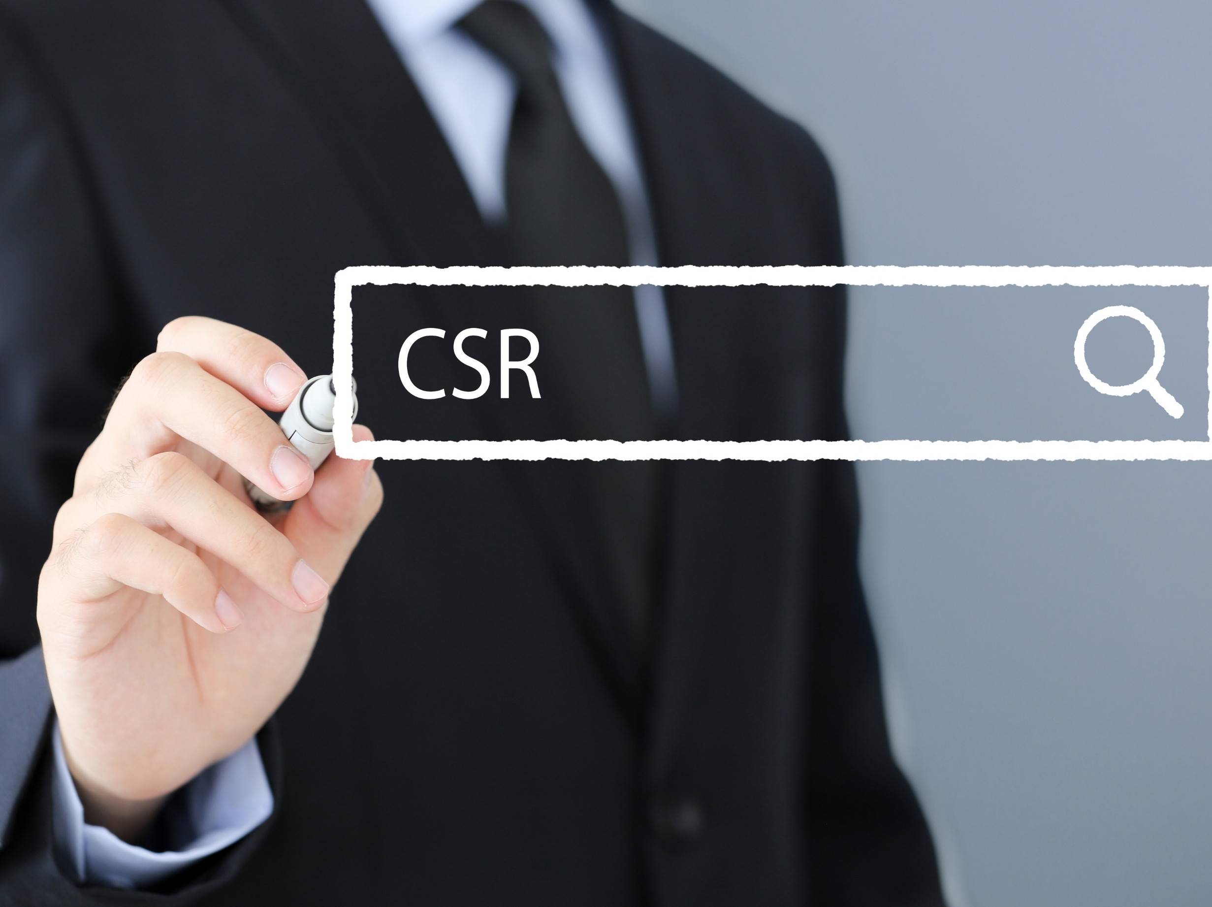 Csr Strategy | Iceberg Data Lab