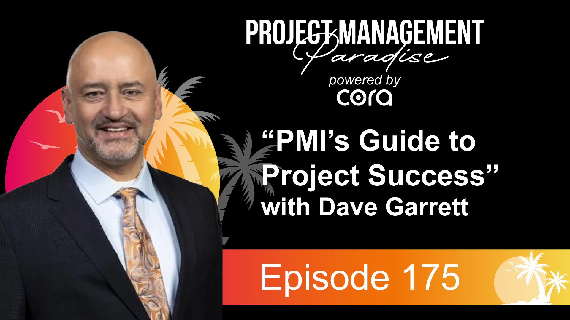 Transform Your Business: PPM Solutions by Cora Systems for Efficiency