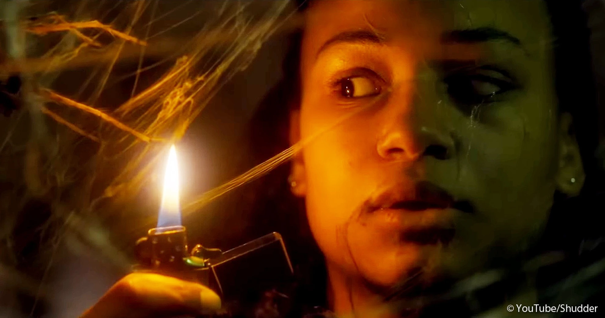 Infested: Trailer zum neuen Spinnen-Horror