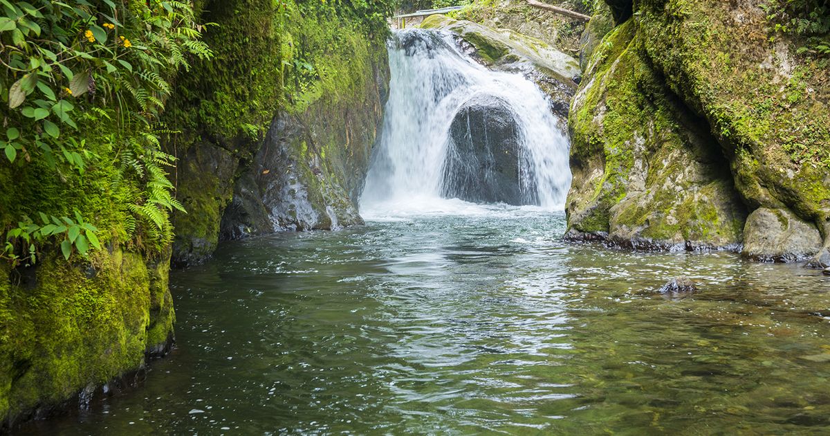 Ecosystems of Ecuador | EF Educational Tours Canada
