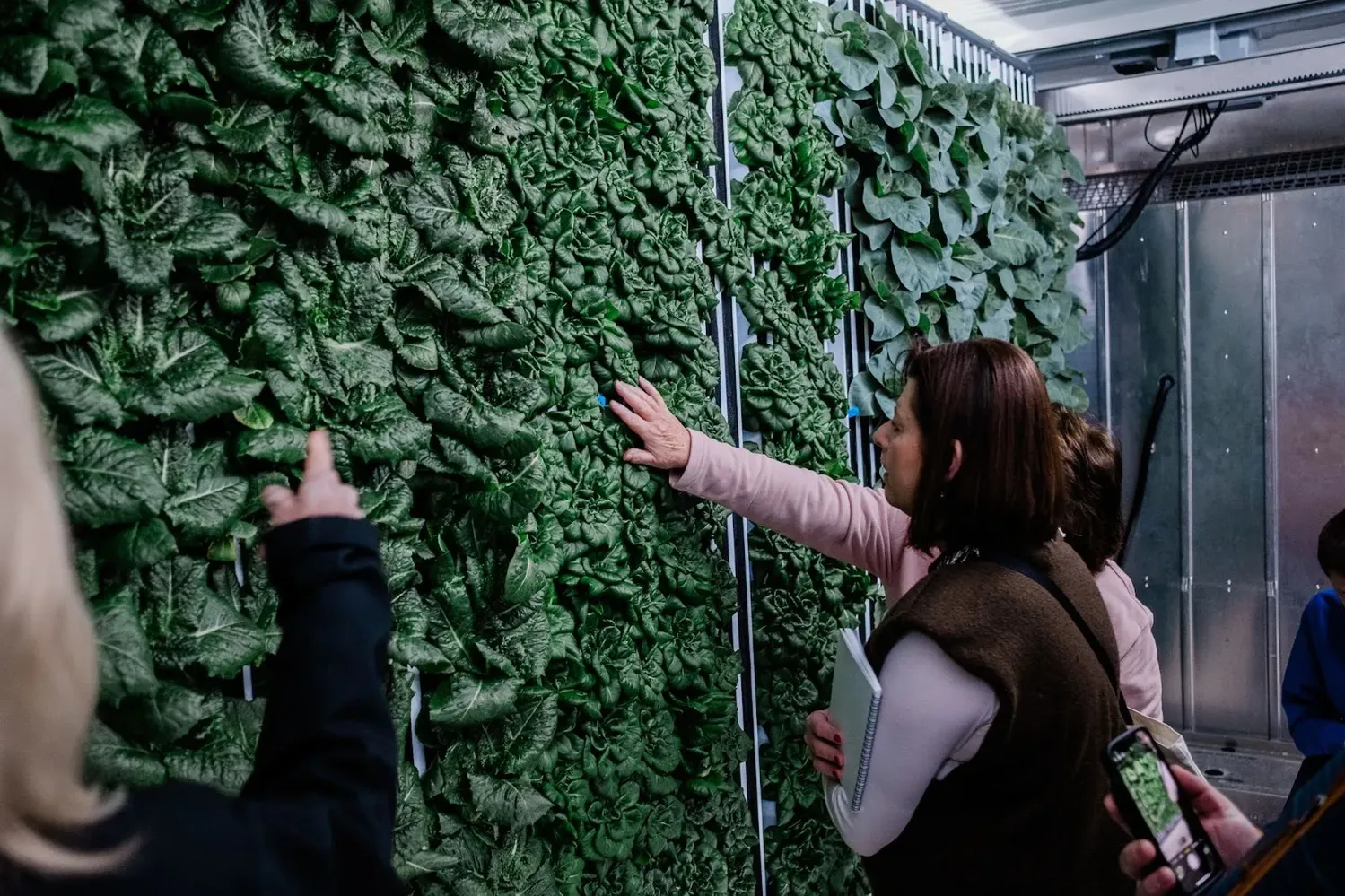 Crossing Into the Future