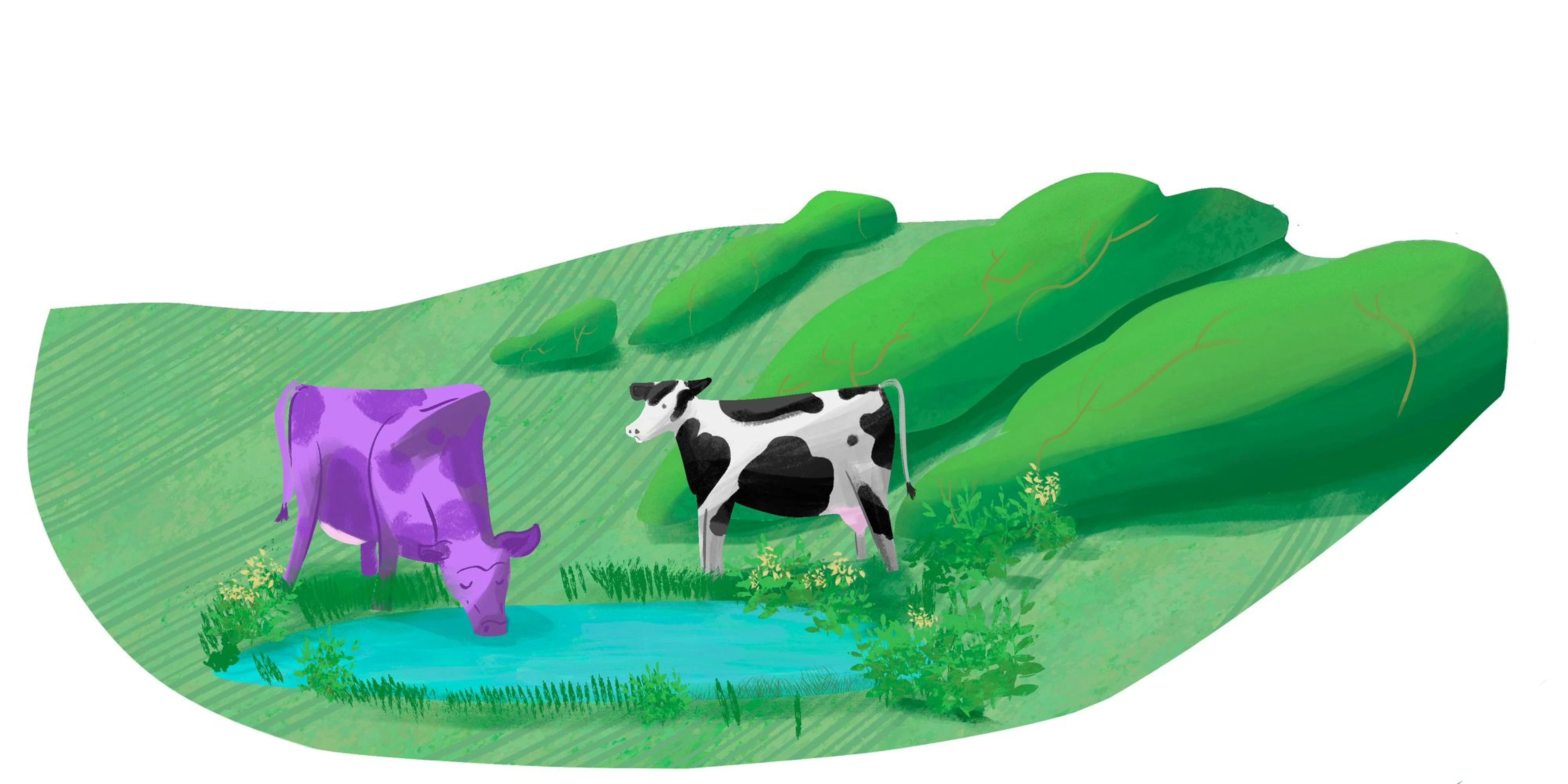 SchoolCEO Book Report: Seth Godin's Purple Cow