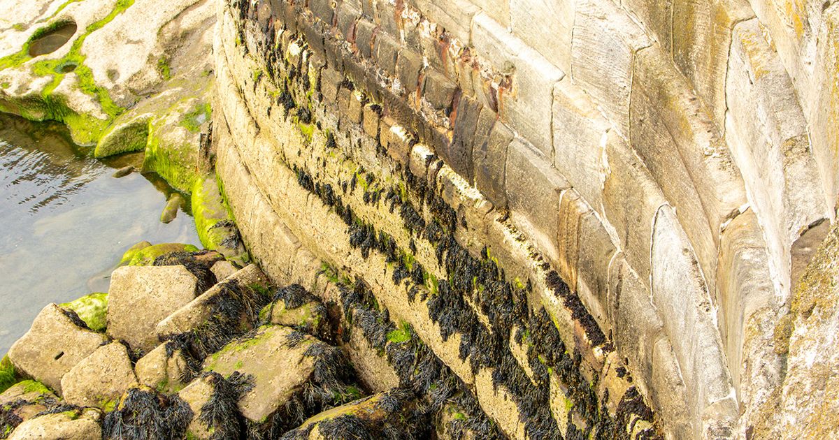Tech Talk video: How to design multifunctional coastal infrastructure