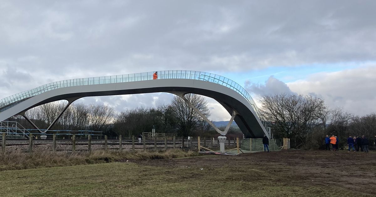 Tech Talk video: What engineers can learn from the Flow bridge