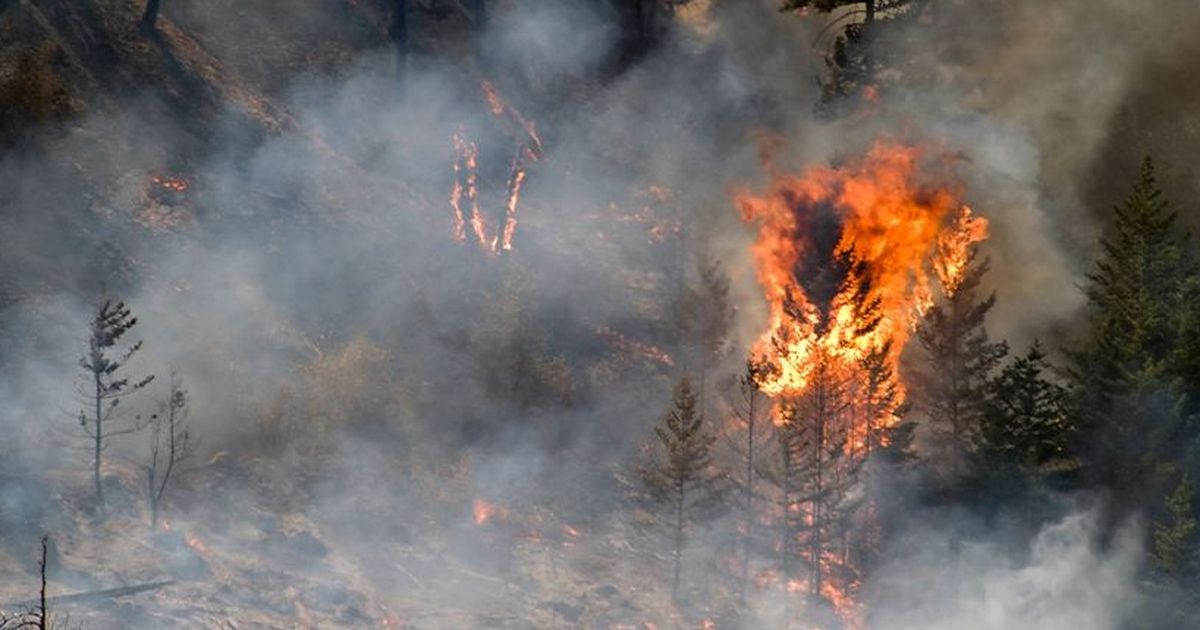 Okanagan and Shuswap area wildfires cause over $720 million in insured ...