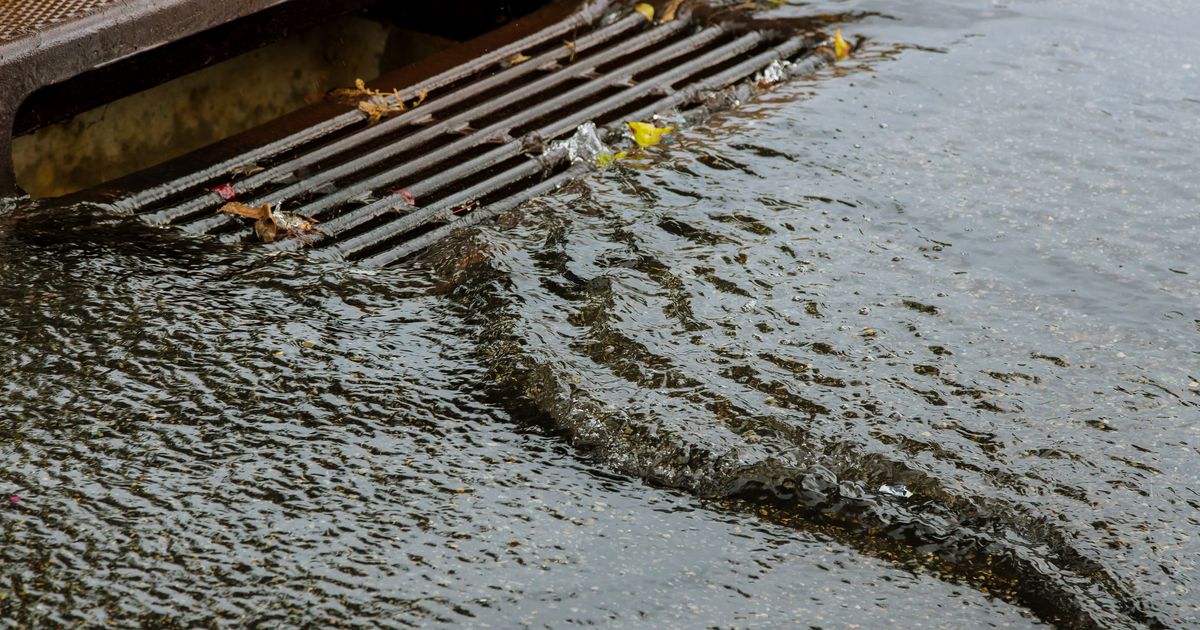 Toronto and GTA Flash Flood Anniversary Underscores Urgency of Severe ...