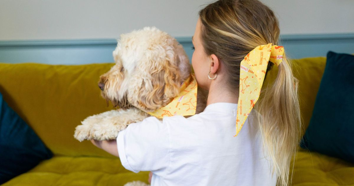 Best Dog Breeds for First Time Owners